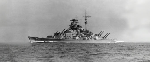 Lonely Queen of the North, the story behind "Operation Zitronella ...