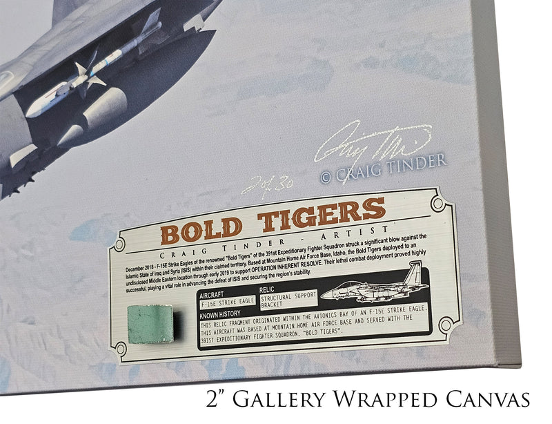 Bold Tigers - F-15E Strike Eagle Canvas | INCLUDES: Avionics Bay Relic ...