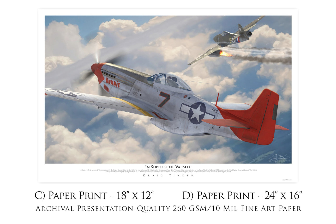 In Support of Varsity - P-51D Mustang Red Tails Canvas with P-51 Relic ...
